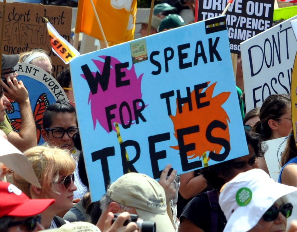 August 12 — “The Lorax” Published (1971) – Today in Conservation