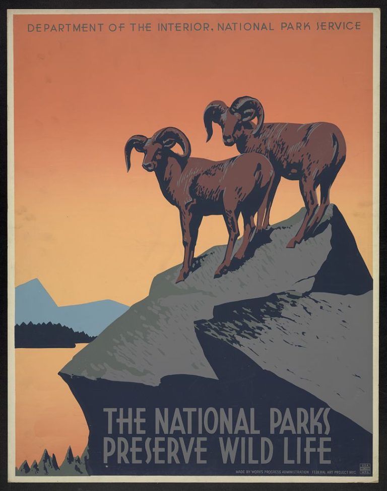 August 25 — National Park Service Born (1916) – Today in Conservation
